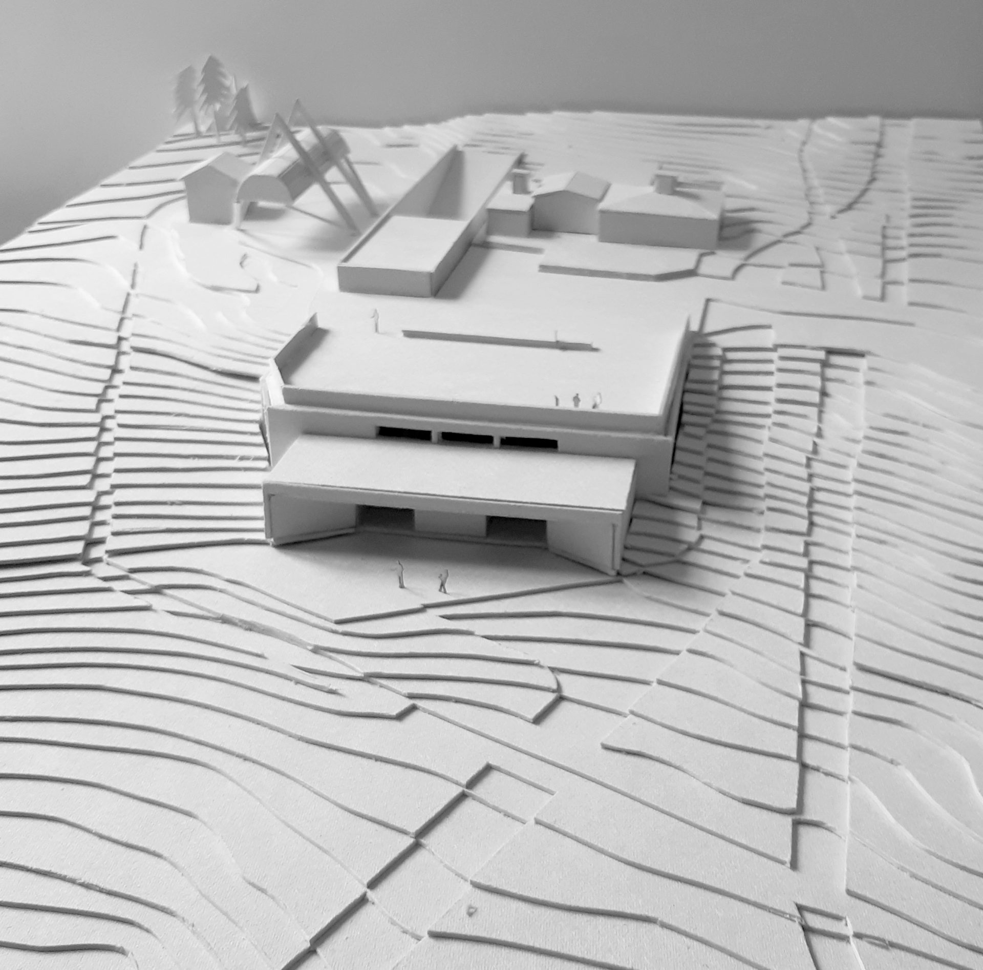 LUGE DES CIMES - Archidium